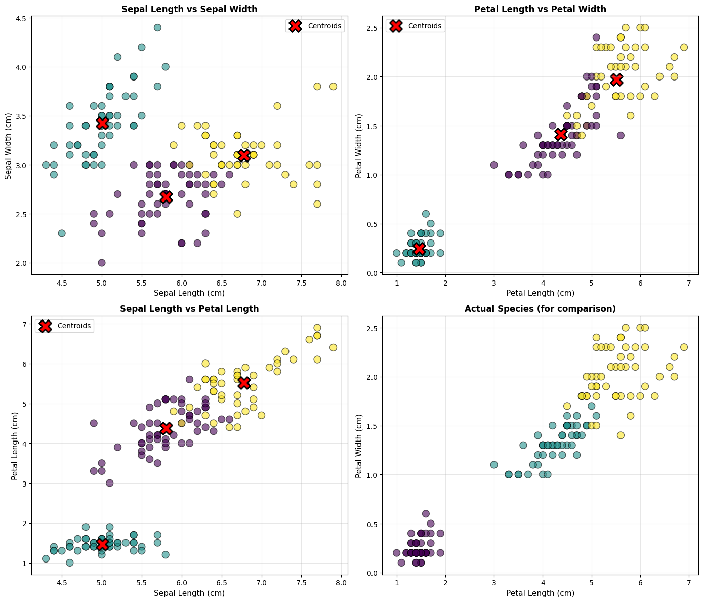 K-Means Neighbors Clustering | course_model